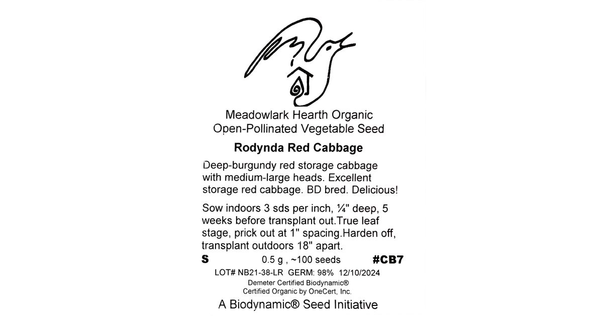 Meadowlark Hearth Red Cabbage Seed, Rodynda, Organic - Azure Standard