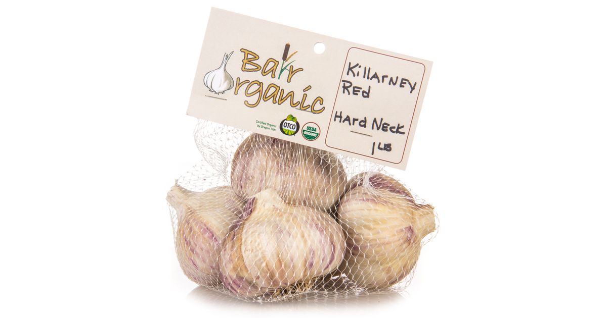 Bair Organics Seed Garlic, Killarney Red Hardneck Organic - Azure Standard