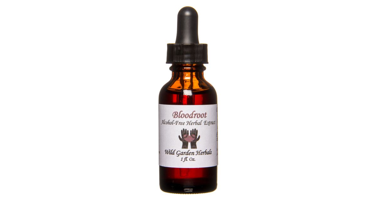 Wild Garden Herbals Bloodroot - Azure Standard