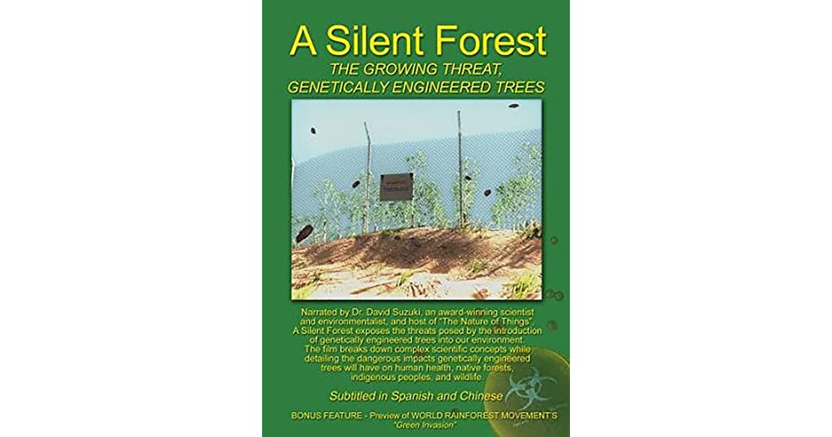 DVDs Silent Forest - Azure Standard