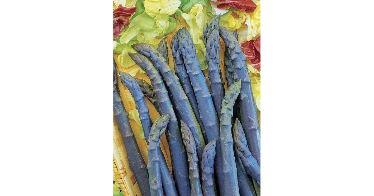 Ellie's Eden Live Plants Asparagus, Red, Organic - Azure Standard