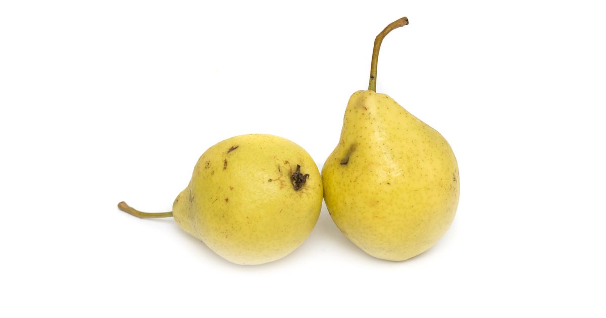 Azure Husbandry Pears, Bartlett, Transitional #2 - Azure Standard