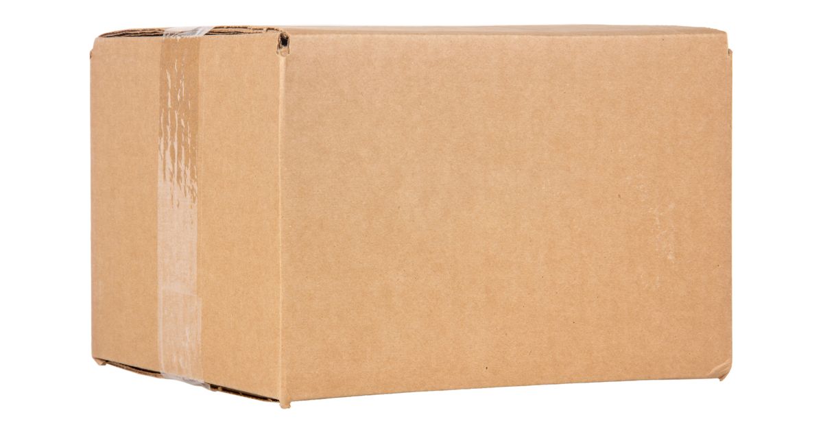 Maxim Hygiene Products Period Underwear, Classic Bikini, Black, Medium ...