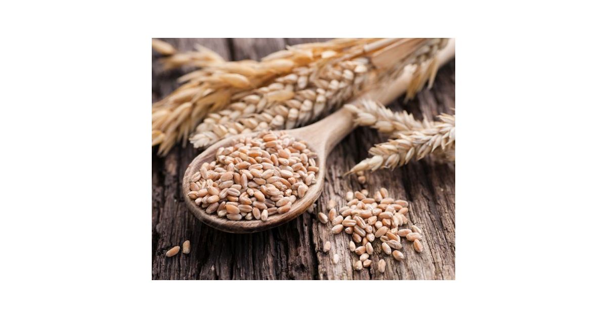 Grains - Azure Standard