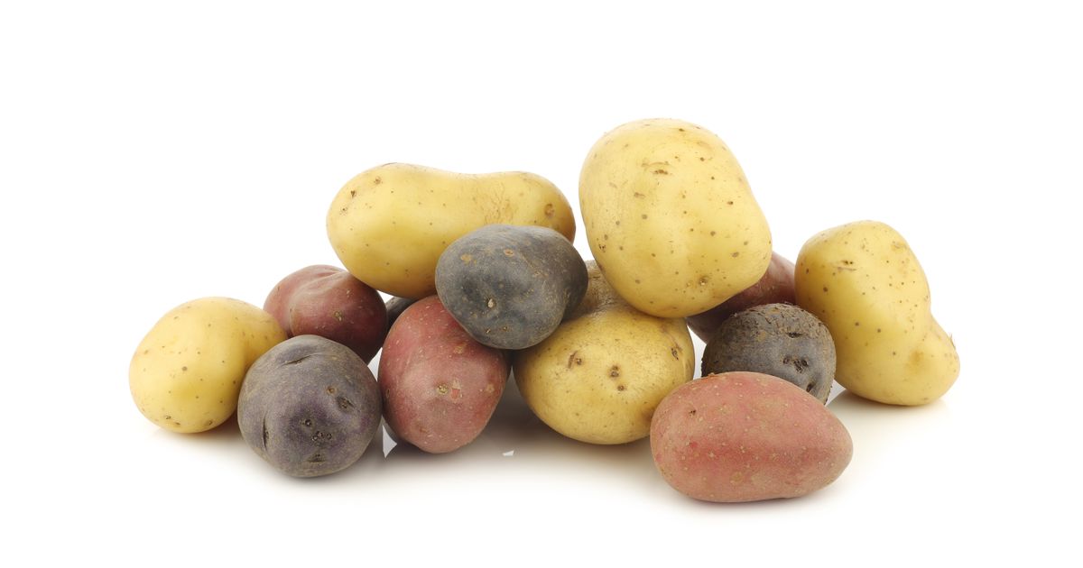 Ellie's Eden Live Plants Seed Potatoes Mix, Organic - Azure Standard