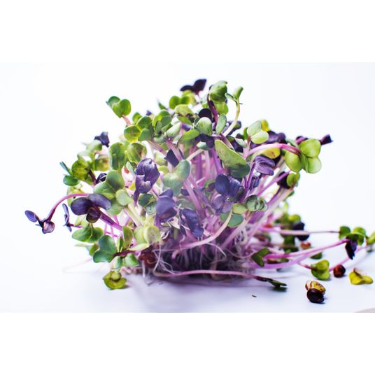 Azure Market Produce Microgreens, Spicy Rainbow Mix, Non GMO - Azure ...