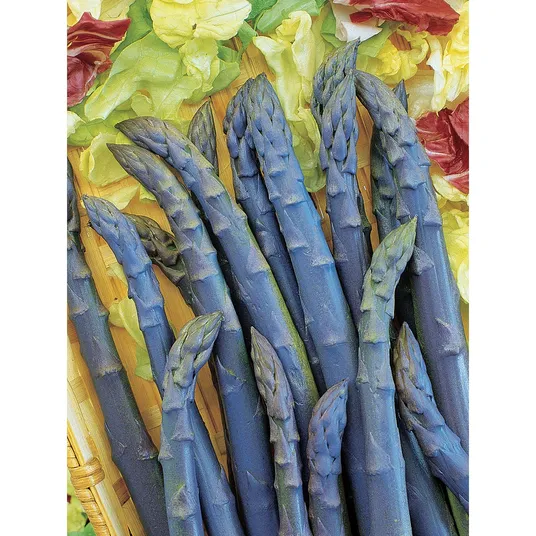 Ellie's Eden Live Plants Asparagus, Red, Organic - Azure Standard