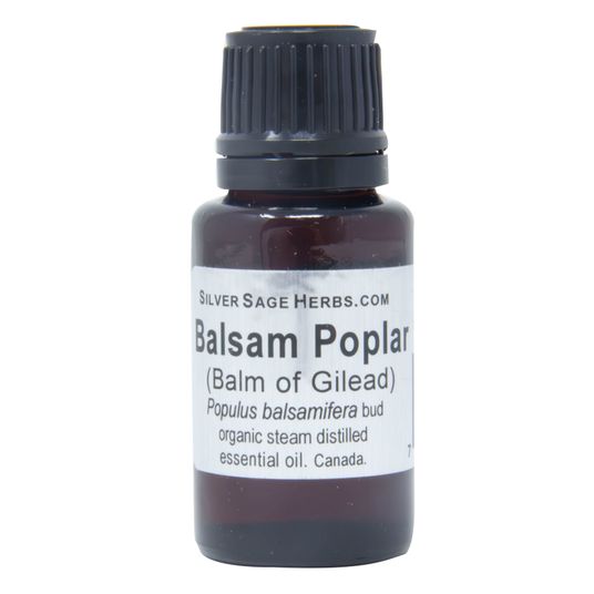 Silver Sage Balsam Poplar, Essential Oil - Azure Standard