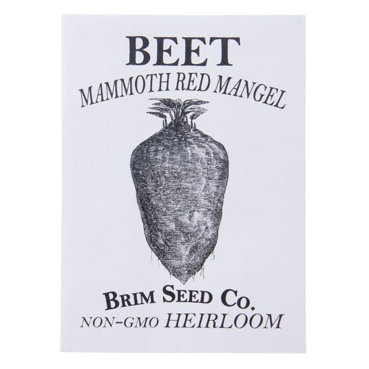 Brim Seed Co. Beet, Mammoth Red Mangel Heirloom Seed - Azure Standard